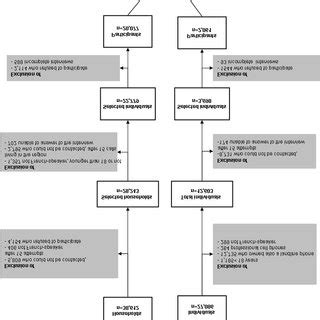 Sampling Procedure And Sample Size Download Scientific Diagram