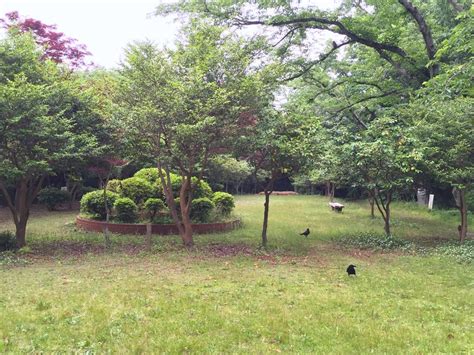 源氏山公園（神奈川県鎌倉市） Parkful公園をもっと身近に、もっと楽しく。