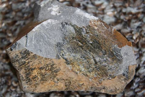 Braintree Carbonized Wood Fossil Id The Fossil Forum