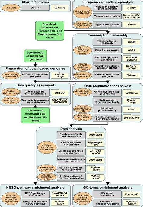 Methodology Pipeline Of The Bioinformatics Methodology Folders