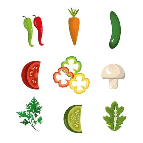 Premium Vector Set Delicious Fresh Healthy Vegetable
