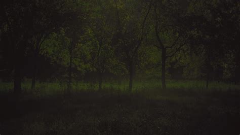 Nero Wandering Paths Nero Editions