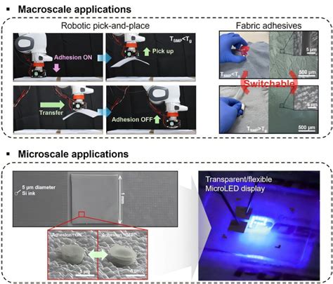 Researchers Use Shape Memory Polymers To Create A Highly Efficient Microled Transfer Process