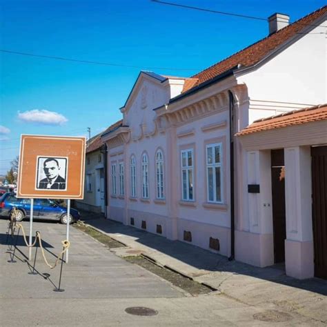 Galerija Slika Sava Šumanović U Šidu Rusinka U Narodnoj NoŠnji Jedina Odstupanja Umetnika Od