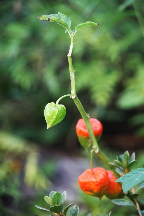 경남 창원 가볼만한곳 삼진미술관 폐교를 문화공간으로 탈바꿈한 아담한 미술관 경남 마산 가볼만한곳 네이버 블로그