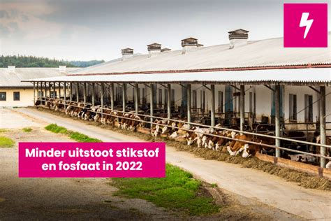 Minder Uitstoot Stikstof En Fosfaat In 2022 Zelf Energie Produceren