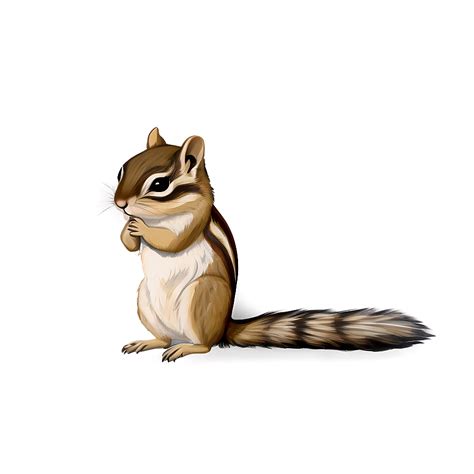 Download Chipmunk In Nature Png 06242024