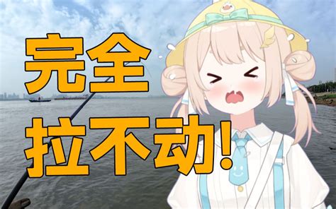 人生第一次钓鱼！竟然钓到了个大的和猛女vup一起夏日垂钓吧！ 呆呆不吃喵 呆呆不吃喵 哔哩哔哩视频
