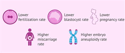 Effects Of Paternal Age In Assisted Reproduction