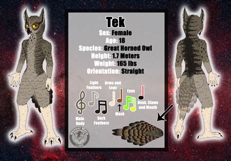 Tek Ref Sheet — Weasyl