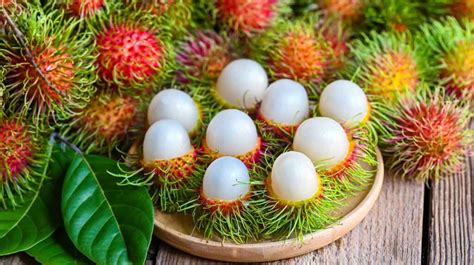 গাঁদা ফুলের চাষ পদ্ধতি Krishakbd