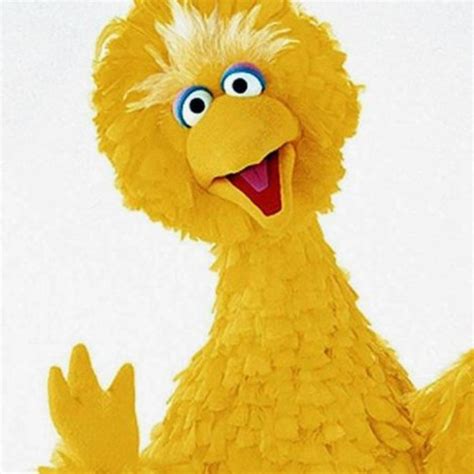 Carmen Majewski Teamassistenz Physiomedic Xing