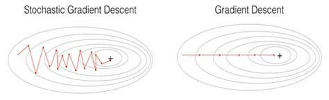 Svm Sgd Naukri Code 360