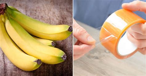 Для чего я обматываю корешок банана скотчем Со Вкусом