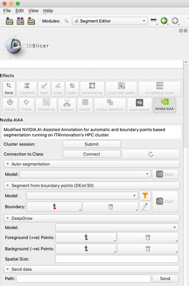Slicers Segment Editor With The Aiaa Extension Download Scientific