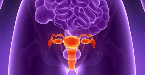 Cáncer Uterino Síntomas Causas Y Tratamientos Artículos Sobre Salud
