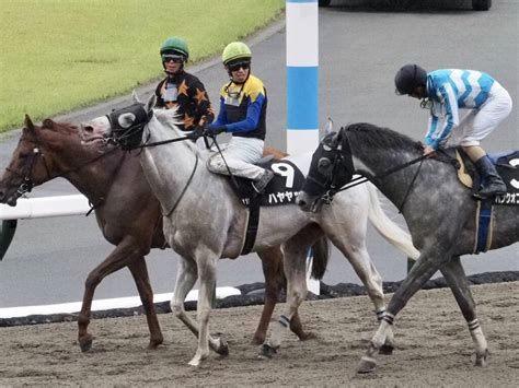 【スレイプニルs】白毛馬ハヤヤッコが直線一気決める 競馬ニュースなら競馬のおはなし