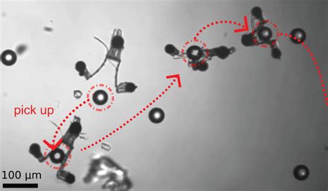 Grenoble Scientists Develop Novel Method Of 3d Printing Controllable Magnetic Microstructures