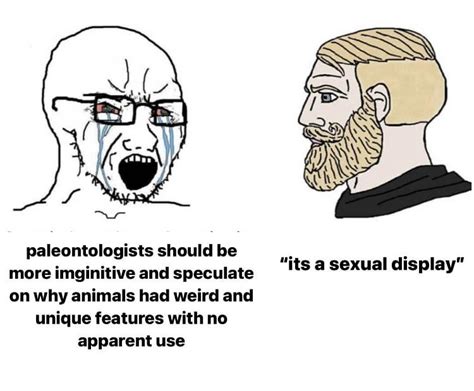 Its Always A Sexual Display… R Paleontology