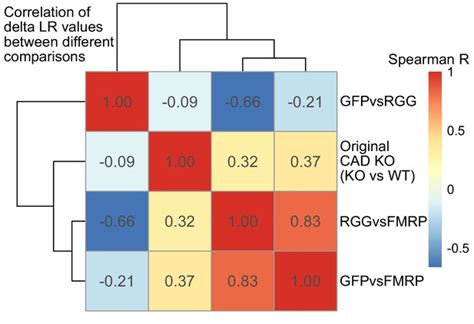Figures And Data In Fmrp Promotes Rna Localization To Neuronal