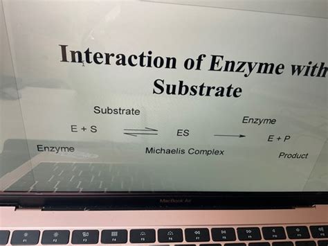 Initial Velocity Enzyme Kinetics Flashcards Quizlet