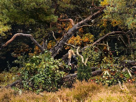 De Ecologische Kunst Van Milah Van Zuilen