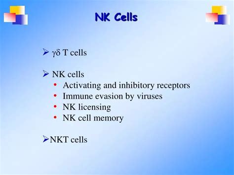 Ppt T Cells Nk Cells Activating And Inhibitory Receptors Immune