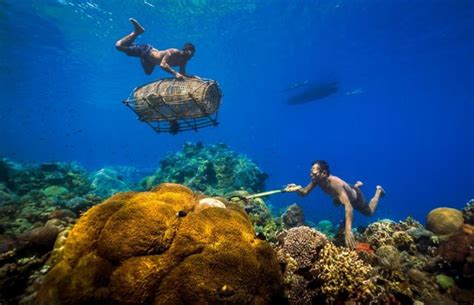 Las fotos de conservación de la naturaleza ganadoras del 2023