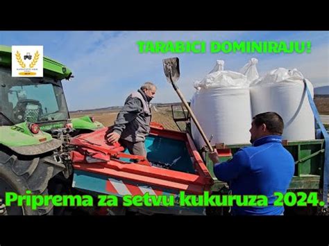 Priprema Za Setvu Kukuruza Razbacivanje Djubriva I Drlja Enje Tarabici Dominiraju