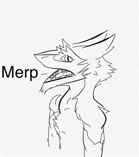 Merp R Merp Irl
