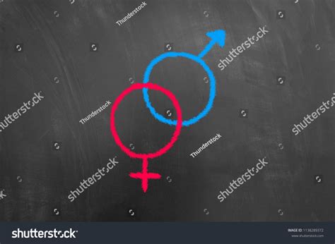 Gender Equality Sex Education Chalk Drawing Stock Illustration 1138289372 Shutterstock