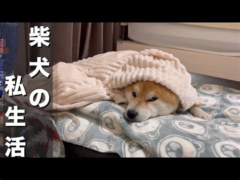 Komugiyoutube