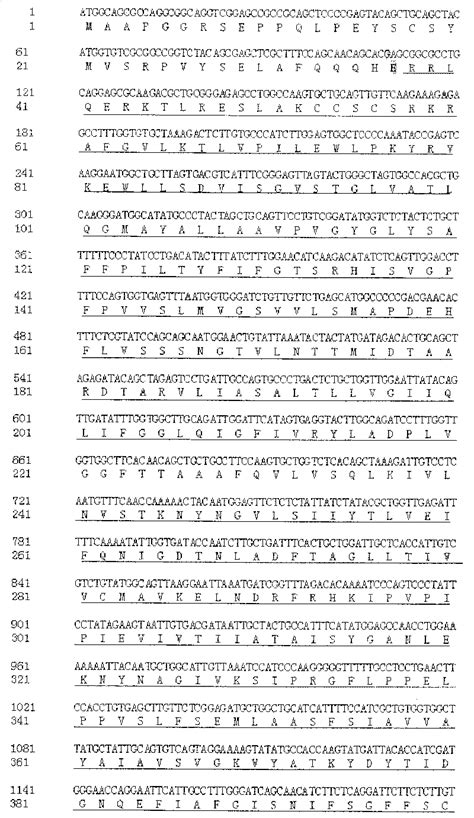 Kit For Detecting 227c T Mutation Of Vestibule Water Conduit Enlargement Interrelated Gene