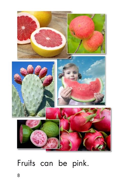 水果的颜色《fruit Colors》紫色