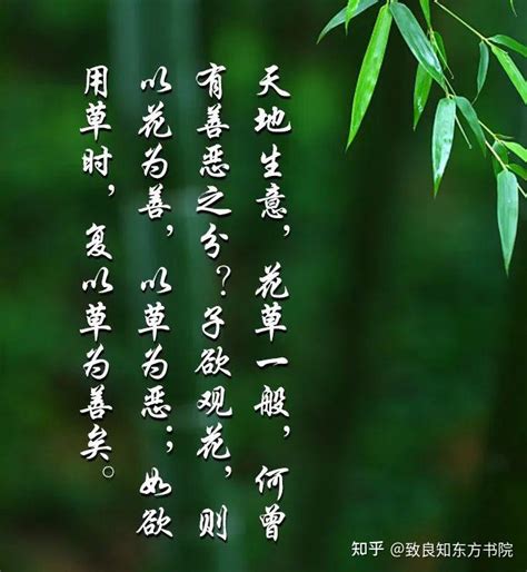 王阳明天地之间何曾有善恶之分 知乎