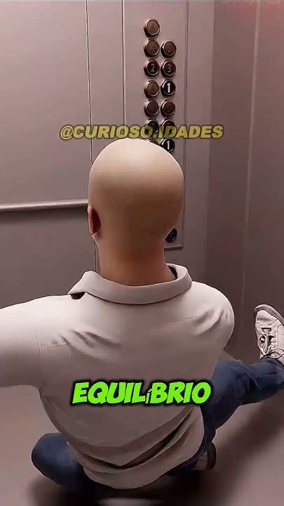 Você Sabia Disso Curiosidades Shorts Youtube