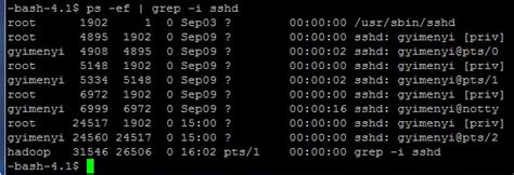 execution d un programme map reduce dans un cluster hadoop à noeud unique