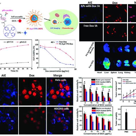 Sijie Chen Assistant Professor Mwlc Research Profile