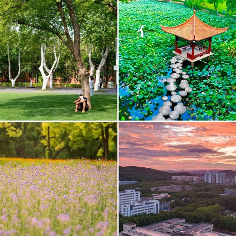 Huazhong University Of Science And Technology Hust 2024 • Instagram