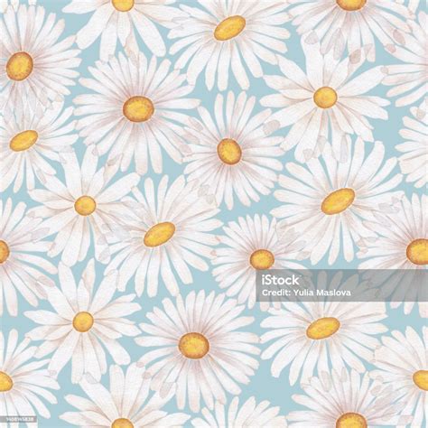 큰 카모마일 꽃 빈티지 이음새가 없는 패턴으로 수채화 스타일 파스텔 색상 0명에 대한 스톡 벡터 아트 및 기타 이미지 0명 갈색 검은색 Istock