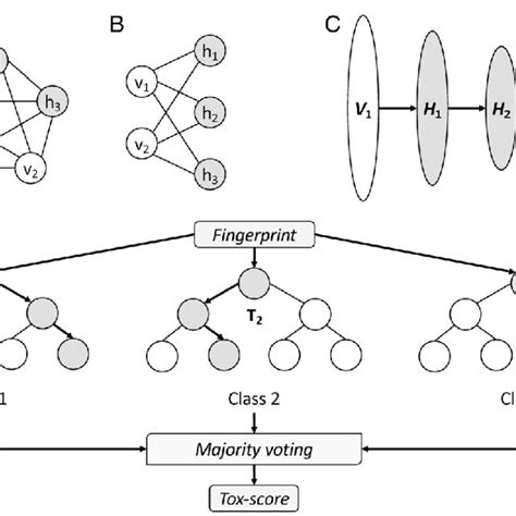 schematics of various machine learning classifiers a a two layered