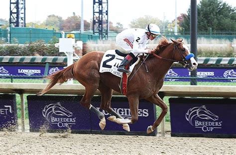 ケンタッキーダービー、各有力馬が順調に調整 Jra Van World 海外競馬情報サイト