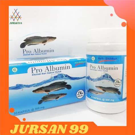 Jual Ash Shihah Pro Albumin 100 Ekstrak Ikan Gabus Kutuk Albumin Ikan Gabus 50 Kapsul