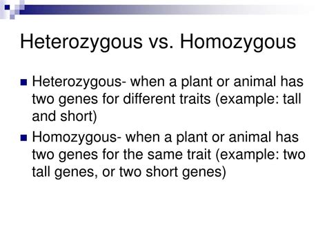 Ppt Genetics Genotype And Phenotype Powerpoint Presentation Free