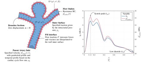 A Schematic Two Dimensional Representation Of The BCs Applied In The