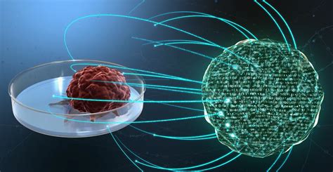 A Revolutionary Personalized Approach In Brain Tumor Research Leaders In Pharmaceutical