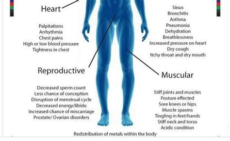 Shocking 5g Beamforming By Frances Leader Uncensored
