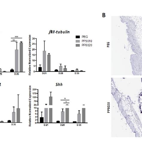 Methacrylic Acid Based Hydrogels Promote Peripheral Nerve Growth In Download Scientific Diagram