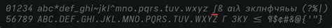 U17f Latin Small Letter Long S ſ Has A Swash Hook In Ailes Italic