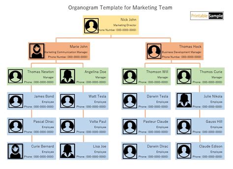 11 Free Organogram Templates Printable Samples